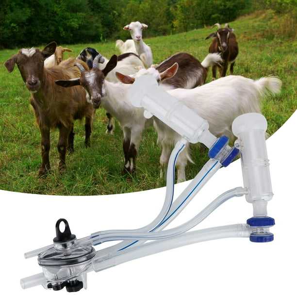 Milk Cluster Group, Milking Teat Cups, Convenient Non- For Animal ...