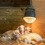 Premier 1 Supplies, Prima Heat Lamp, for Chick Brooders Livestock ...