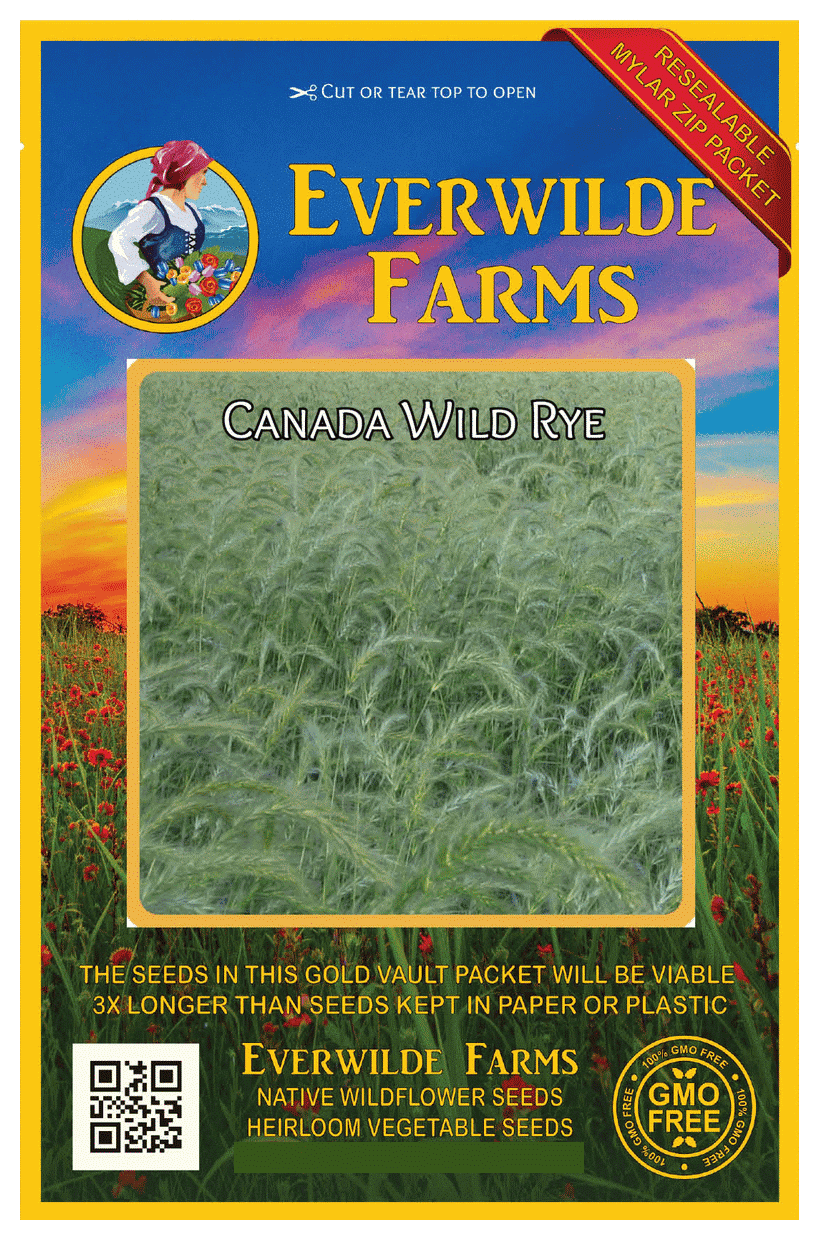 Everwilde Farms - 1 Oz Canada Wild Rye Native Grass Seeds - Gold Vault ...