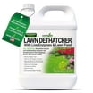Covington Liquid Lawn Dethatcher and Soil Loosener, Kid and Pet Safe ...