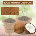 Eco-Friendly Coco Pots Made from Coconut Fiber; Great for Starter ...