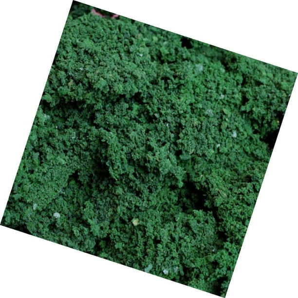 Resin Tree Powder Model Scene Miniature Model Making Material Making ...