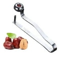 Fruit Pitter, Fruit Pitter Tool,fruit And Olive Tool Remover Pig ...