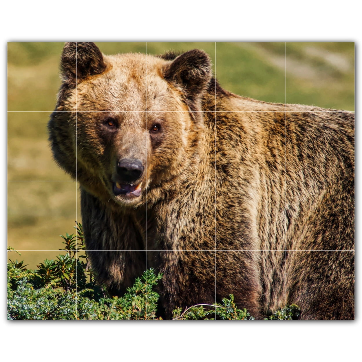 Picture-Tiles.com: Bear Ceramic Tile Wall Mural WAL500129-54L. 40"W x ...