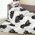 Black Cat Blanket, Unique Hand-Painted Style Animal Art Soft Plush ...