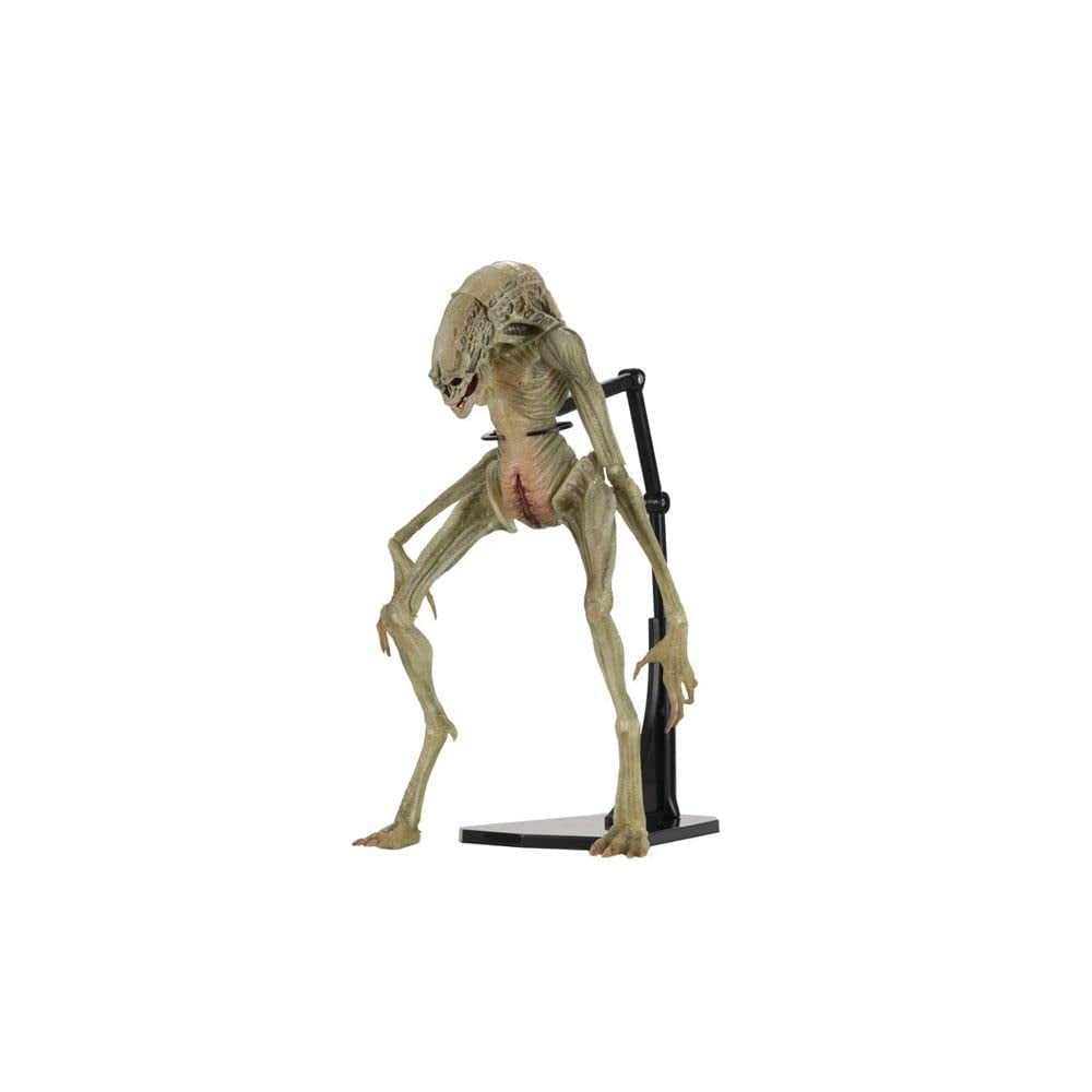 Figura de acción NECA Aliens Scale Alien Resurrection Newborn | Walmart ...