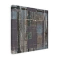 Trademark Fine Art Erin McGee Ferrell Peter Night City I Canvas Wall ...