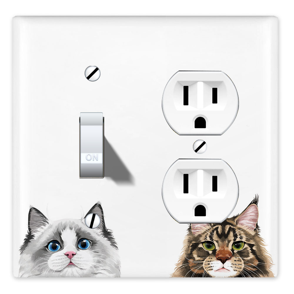 WIRESTER Double 1-Gang Toggle Light and 1-Gang Duplex Outlet Switch ...