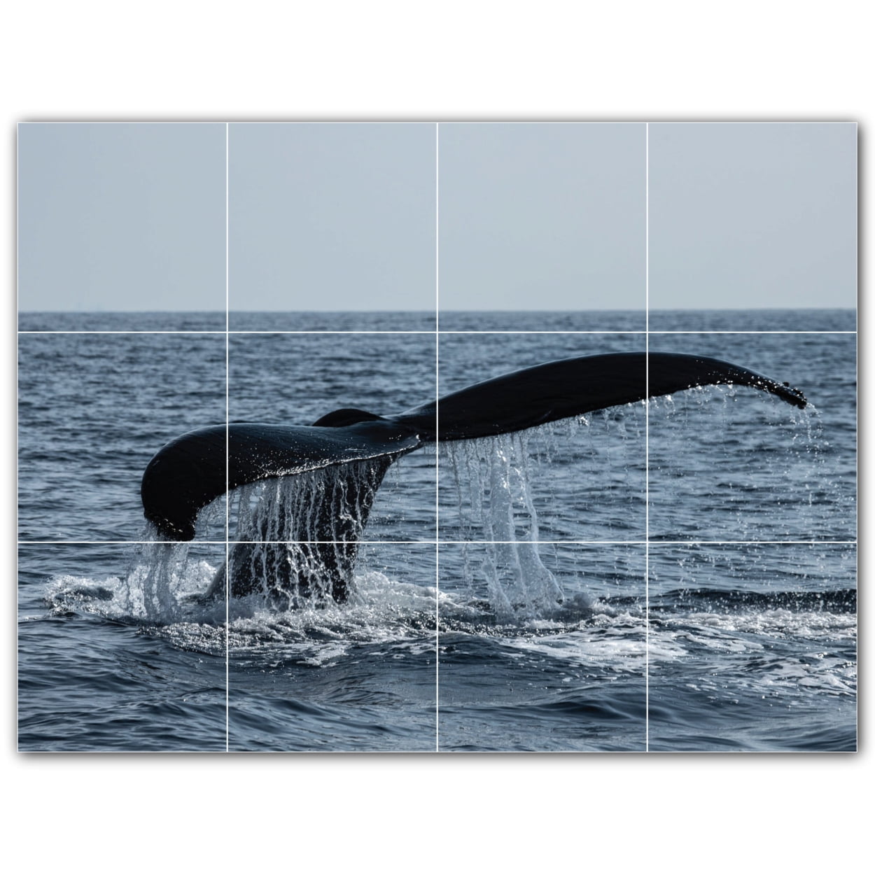 Picture-Tiles.com: Whale Ceramic Tile Wall Mural WAL501193-43L. 32"W x ...