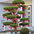CaraMart Chinese New Year Celebration Chinese New Year Decoration ...