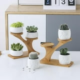 Cadorn Wooden Multi-Tier Indoor Tabletop Flower Rack Mini Plant Shelf ...
