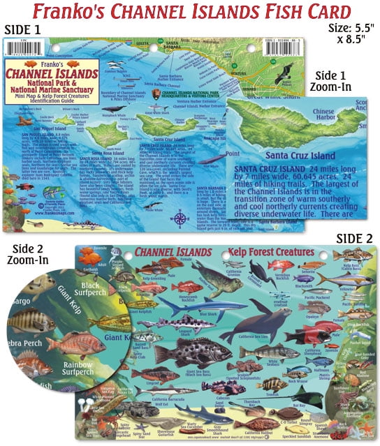 Franko Maps Channel Islands Fish ID for Scuba Divers and Snorkelers ...