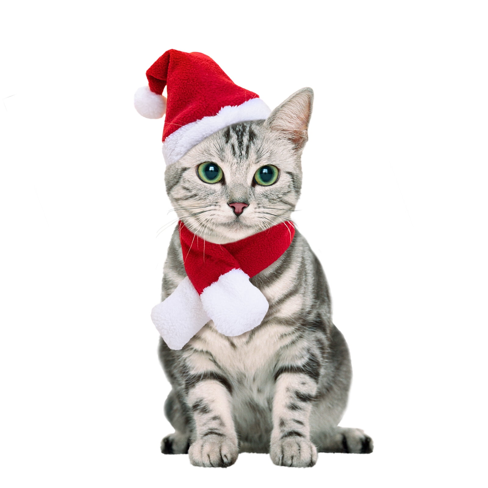PETLESO Christmas Suit Christmas Hats with Scarf, Cat Santa Hat for ...