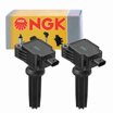 2 pc NGK 48979 Ignition Coils for 178-8521 2505-335224 36-8197 673-6202 ...