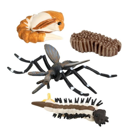 Kids Growth Cycle Figures Model Playset Learning Cognitive Biology Toys ...