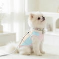 Breathable Mesh Dog Shirt with D Ring Leash Attachment Lightweight ...