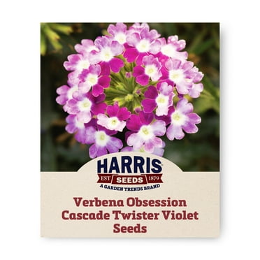 Maverick F1 Series Geranium Flower Garden Seeds - Coral - 100 Seeds ...