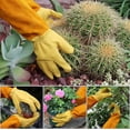 Women Cowhide Thorn Proof Gardening Gloves, Long Gauntlet Heavy Duty ...