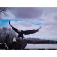 Spartan Camera Gocam 4G LTE Trail Cameras, Free Roaming, Remotely ...