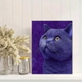 British Shorthair Cat Canvas Print, Pet Portrait Wall Art for Living ...