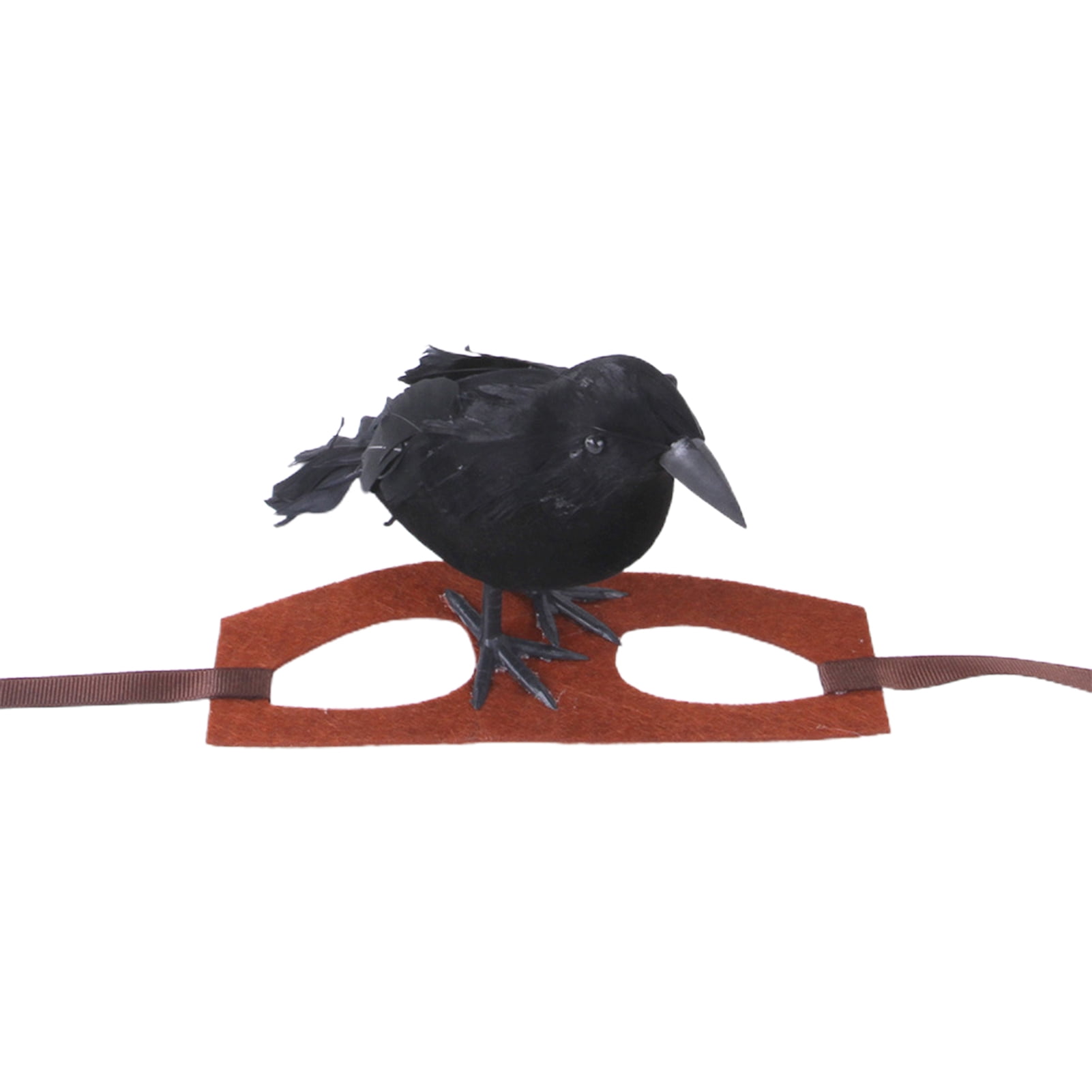 Pet Crow