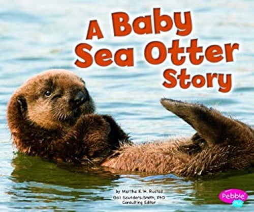 Pre-Owned A Baby Sea Otter Story (Library Binding) 9781429660648 ...