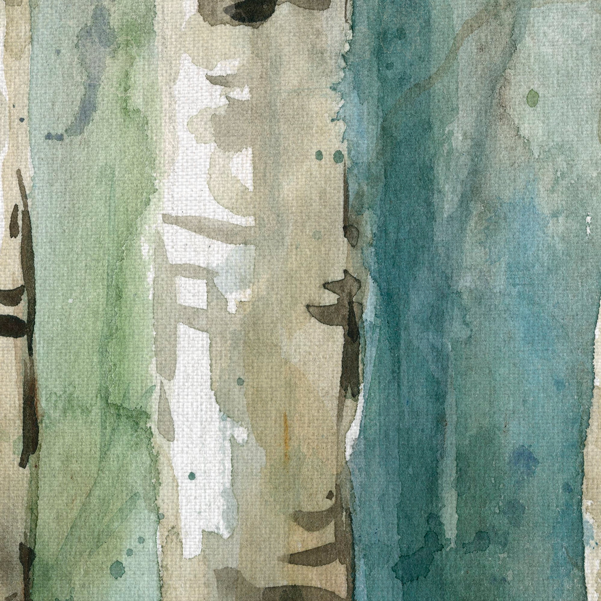 Birch Tree Art Border For Publisher