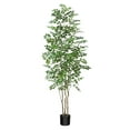6 ft Tall Large Indoor Faux Moringa Oleifera Tree in Pot, Artificial ...