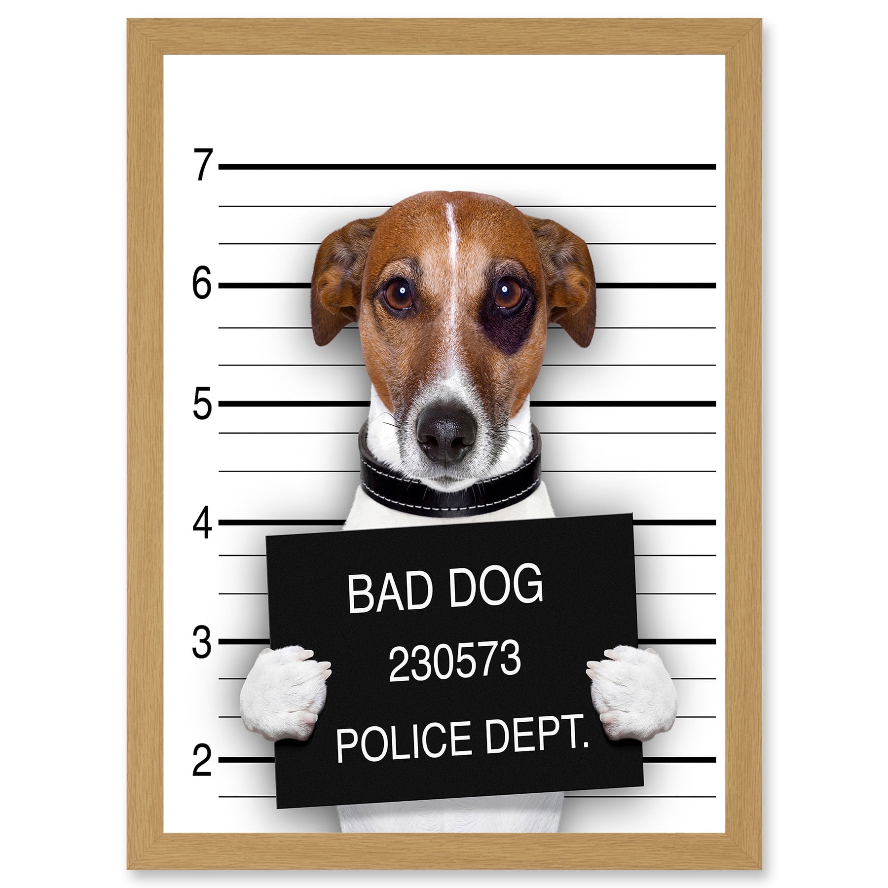 Jack Russell Bad Dog Mugshot Police Photo Artwork Framed Wall Art Print ...