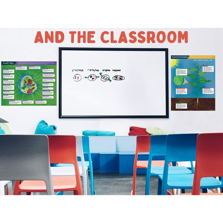Biology Classroom Decorations