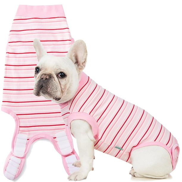 Traje de recuperación para perros Sebidtco para perras después de la ...