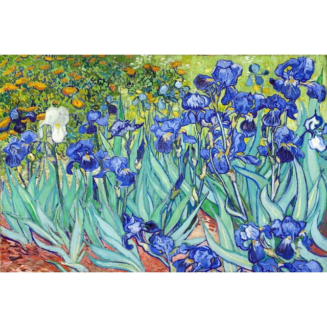 24x36 gallery poster, Irises, May 1889 by Vincent van Gogh - Walmart.com