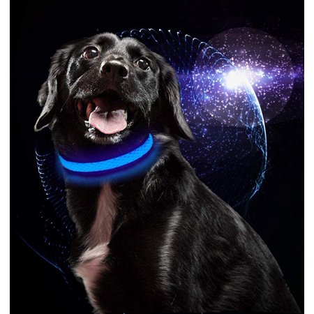 Rechargeable D Dog Collar Flat Nylon Webbing Lighted Flashing Dog ...