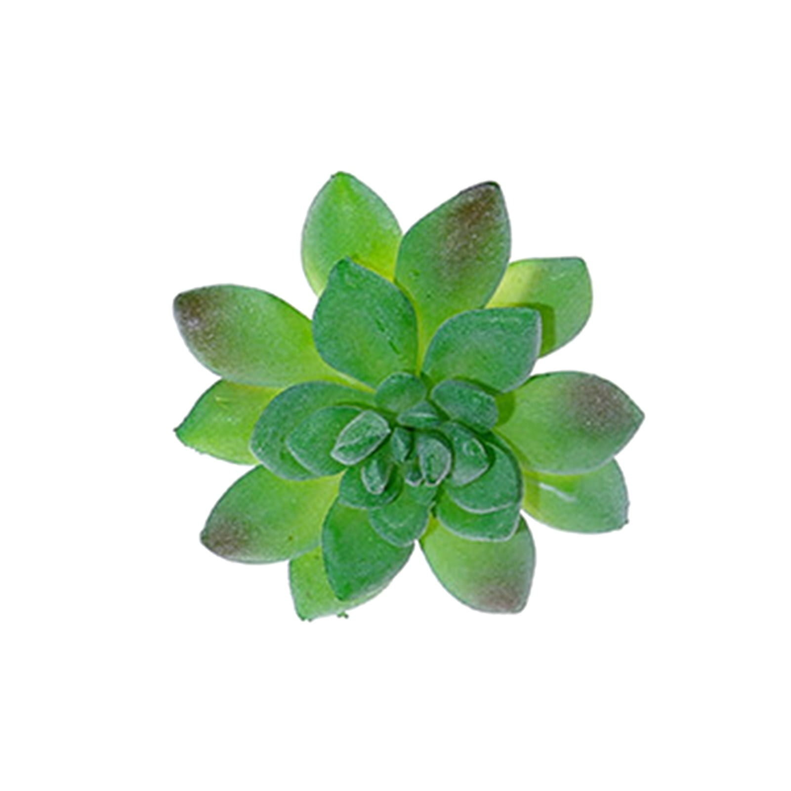 Mightlink Simulation Succulents Realistic 3D Stereo Flower Arrangement ...