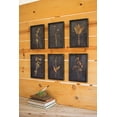SET OF SIX BOTANICAL PRINTS UNDER GLASS - Walmart.com