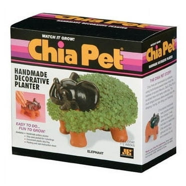 Chia Pet Gizmo (Gremlins) - Decorative Pot Easy to Do Fun to Grow Chia ...