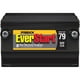EverStart Maxx Lead Acid Automotive Battery, Group 79 - Walmart.com