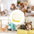 Anti Eating Cover for Small Dog and Cats Dogs Head Protector Cat Face ...