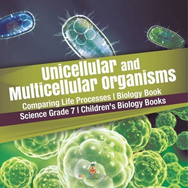 The Human Body Organs and Organ Systems Books Science Kids Grade 7 ...