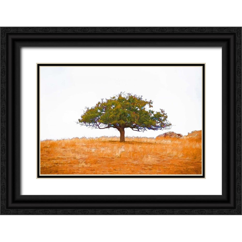 Murdock, Ramona 32x23 Black Ornate Wood Framed with Double Matting ...