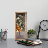 Carbonized Black Shadow Box Frame Real Glass Window Door with Hinge 5 x ...
