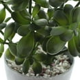Westcharm 16'' Tall Faux Jade Plant, Crassula Ovata Money Tree in ...