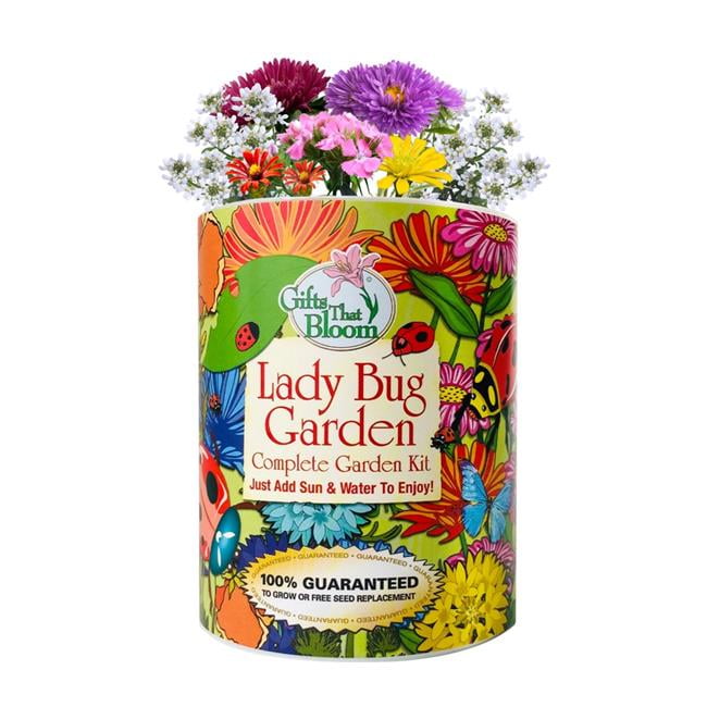 Gifts That Bloom LADYBUGGC Lady Bug Garden Grocan - Walmart.com