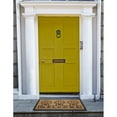 Achim Coco Mat Daisy Door Mat,18" x 30", Brown - Walmart.com