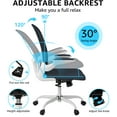 Lioncin Ergonomic Office Chair, Comfort Home Office Task Chair, Lumbar ...
