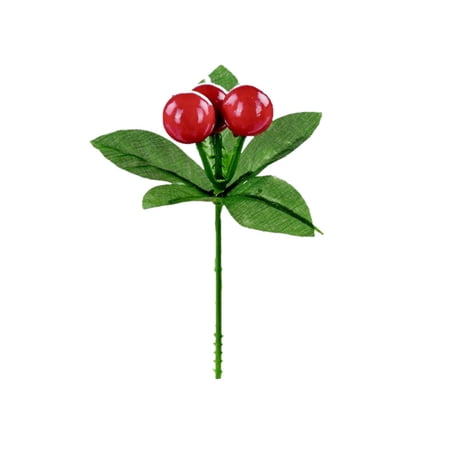 Premier Berry Pick | Walmart Canada