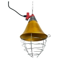 Premier 1 Supplies Prima Heat Lamp, 250W Max, for Poultry, Brooders ...