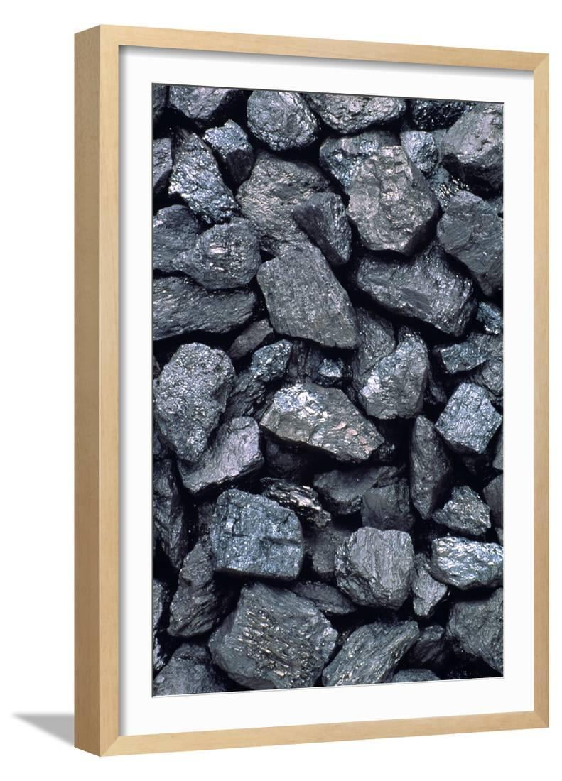 Lumps of Highgrade Anthracite Coal, Framed Art Print Wall Art by Kaj ...