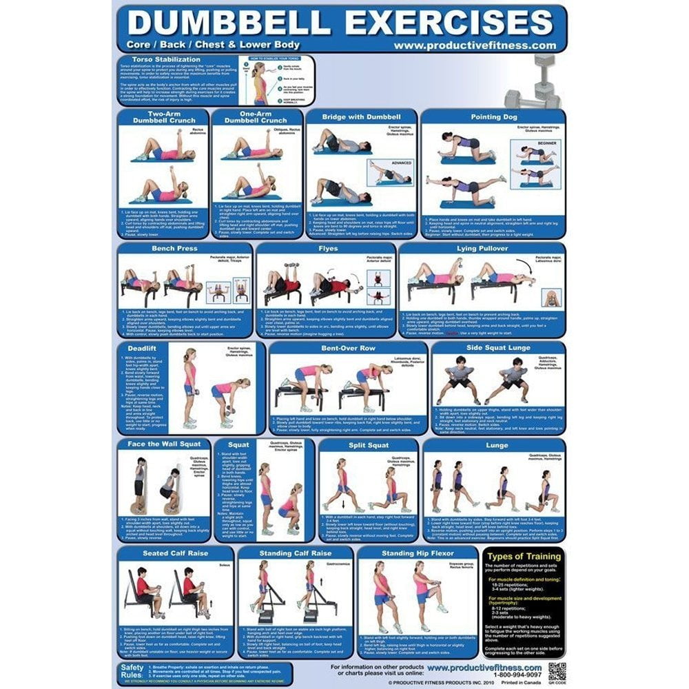 Fitness Poster Back And Core Dumbbell Exercises for Home use Laminated ...