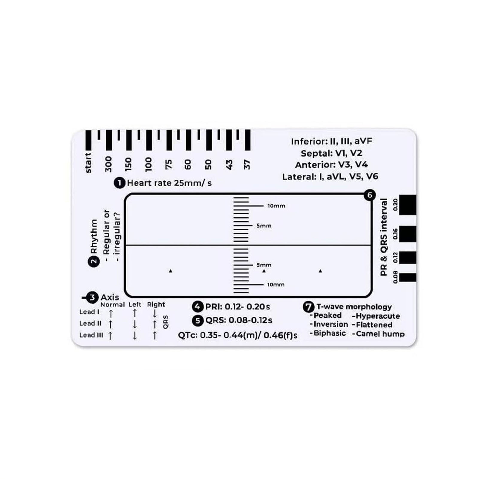 7 Step EKG Interpretation Ruler Transparent Measuring Tool for Accurate ...